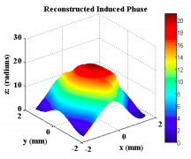 Sarvenaz Memarzadeh Home Page